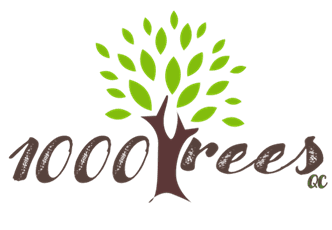 Quad-Cities Celebrates Earth Week By Planting 1000 Trees | Quad Cities