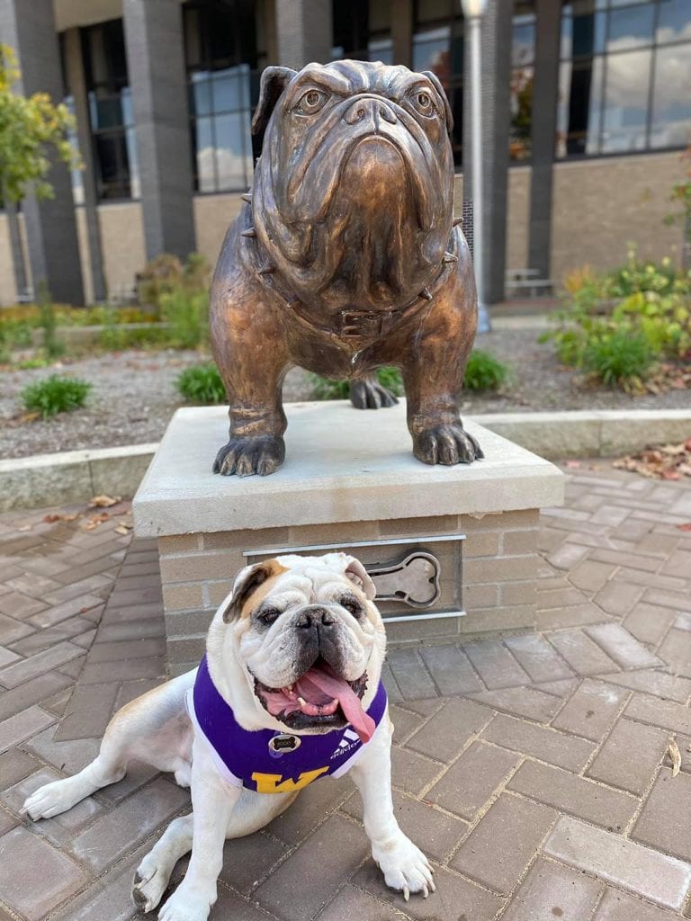 Western Illinois University Students Mourn Beloved Bulldog Mascot ...
